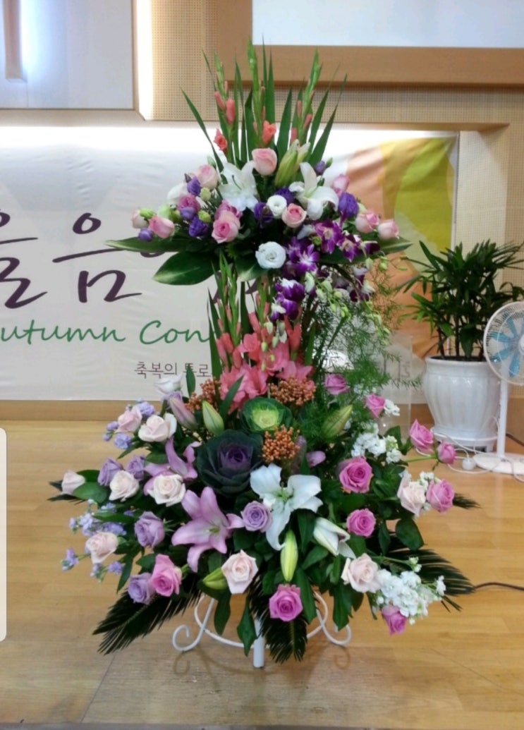 가을음악회축하화환피부샵개원축하개업축하신화환피아노연주회축하대전꽃이야기 네이버 블로그