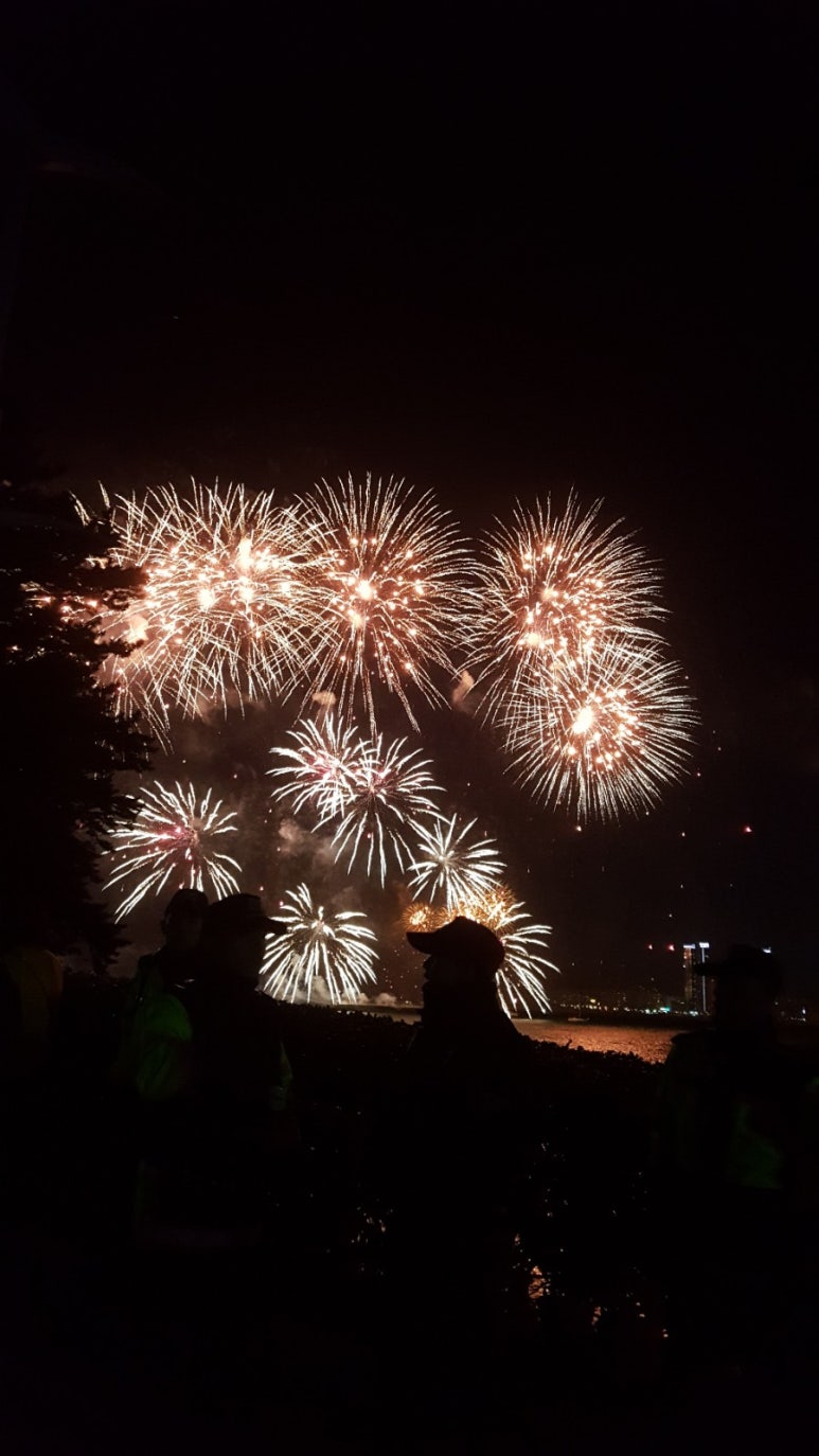 동백섬에서 부산불꽃축제 : 네이버 블로그