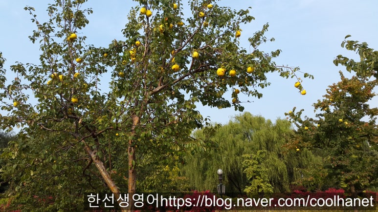 2018학년도 수능 영어 31번 빈칸추론문제 제대로 풀기 송파잠실 중고등부영어학원 네이버 블로그