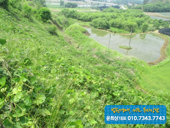 충청북도 괴산군 청천면 고성리 515 1 충북임야대법원경매물건조회 네이버 블로그