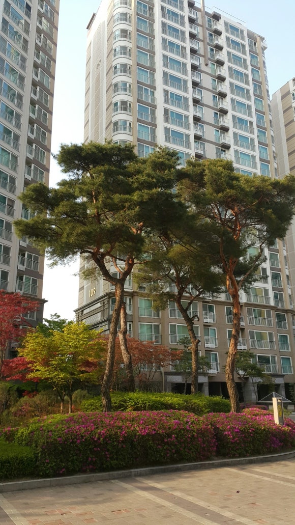 2019년 성화동 남양휴튼 10년된집 인테리어로 새로 싸악 비꿔봤어요 새집프로잭트 44평 네이버 블로그