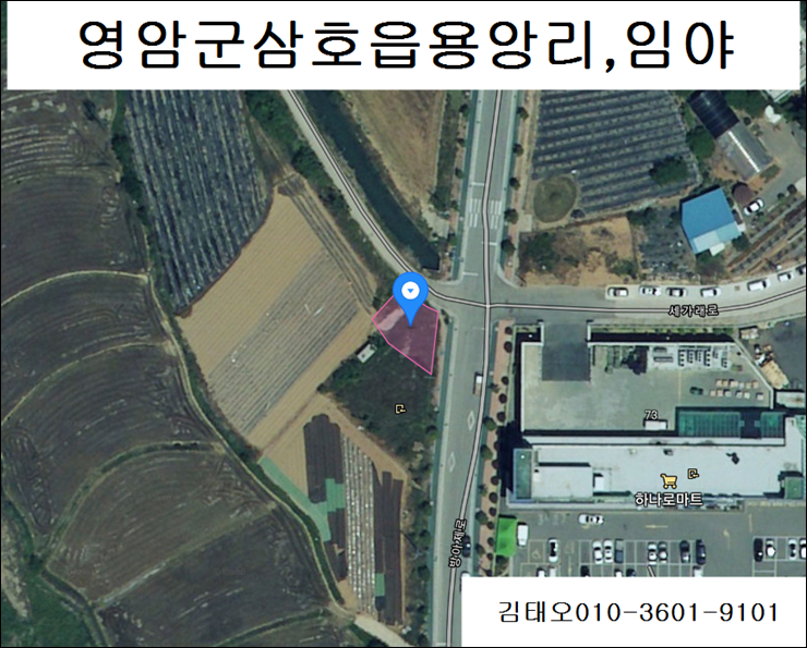 전남 영암군 삼호읍 용앙리 236 9 임야 경매광주전남부동산 네이버 블로그