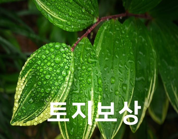불법형질변경 토지의 보상평가 주의사항 네이버 블로그