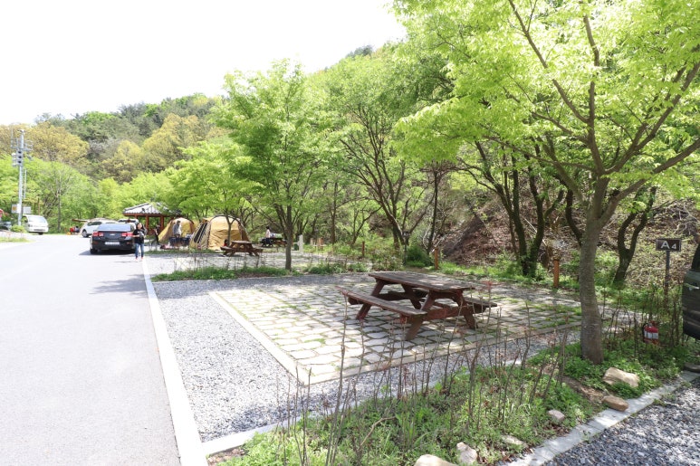 산디마을오토캠핑장 산디마을생태공원오토캠핑장 대전근교캠핑장 청주근교캠핑장 신탄진 캠핑장 네이버 블로그