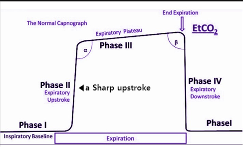 ETCO2(=End-tidal CO2) : 네이버 블로그