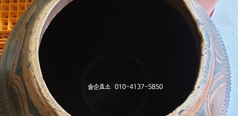 솔순 효소 만들기 And 채취시기 소나무순 넣은 솔방울 효소 담그기 네이버 블로그