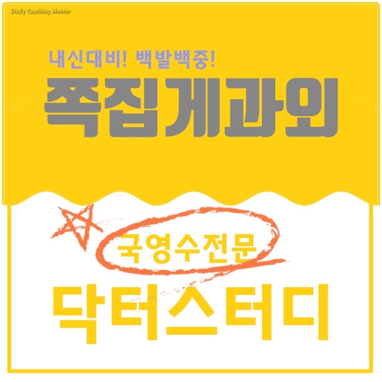사춘기 코칭 라포형성 초등학생 독서습관 중학생 공부습관 고등학생 영어 수학 국어 공부법 과외 멘토 네이버 블로그