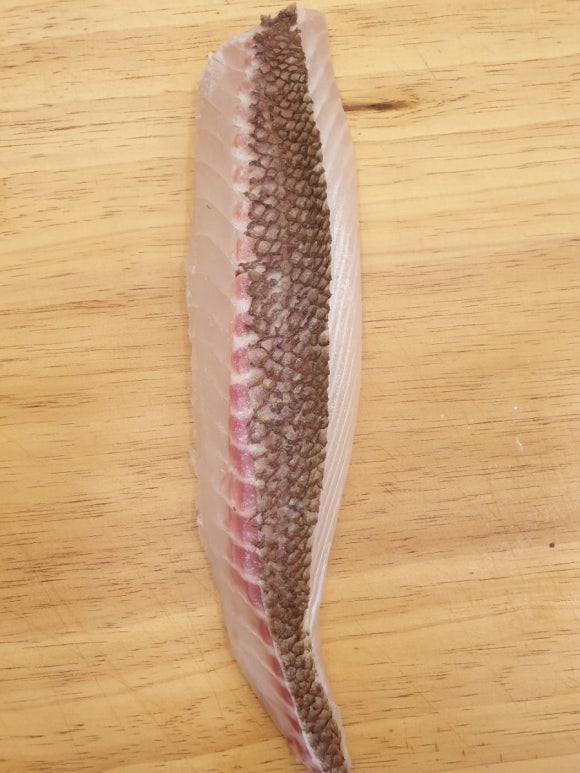 참돔 손질하는법참돔 오로시도미 손질영상 네이버 블로그