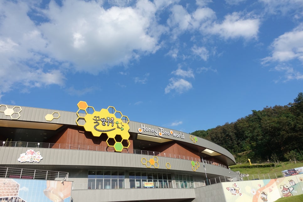 칠곡호국평화기념관 꿀벌나라테마공원 칠곡보 바닥분수까지 여름방학 아이들과 함께 구미 가볼만한곳 네이버 블로그