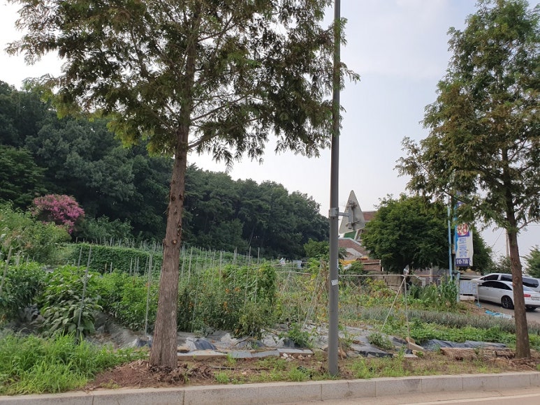 인천 계양구 계양역 인근 다남동 가든 식당 단독 전원주택 매매합니다 계양구 전원주택 전문 복 나눔 부동산 네이버 블로그