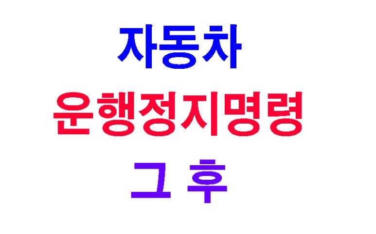 자동차 운행정지 명령 그 후 네이버 블로그
