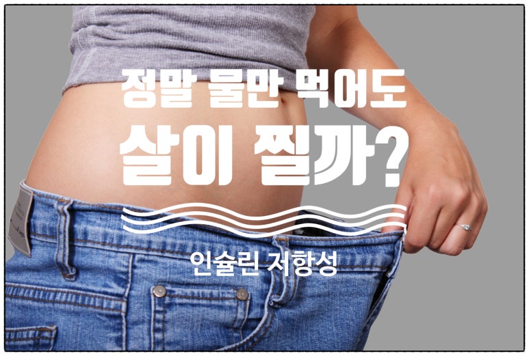 물만 먹어도 살찌는 체질 다이어트 첫 번째는 이것 네이버 블로그