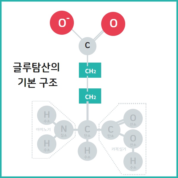 글루탐산 글루타민 너무 흔해서 소중한 아미노산 Glutamic Acids 글루타민산 Glutamine 네이버 블로그