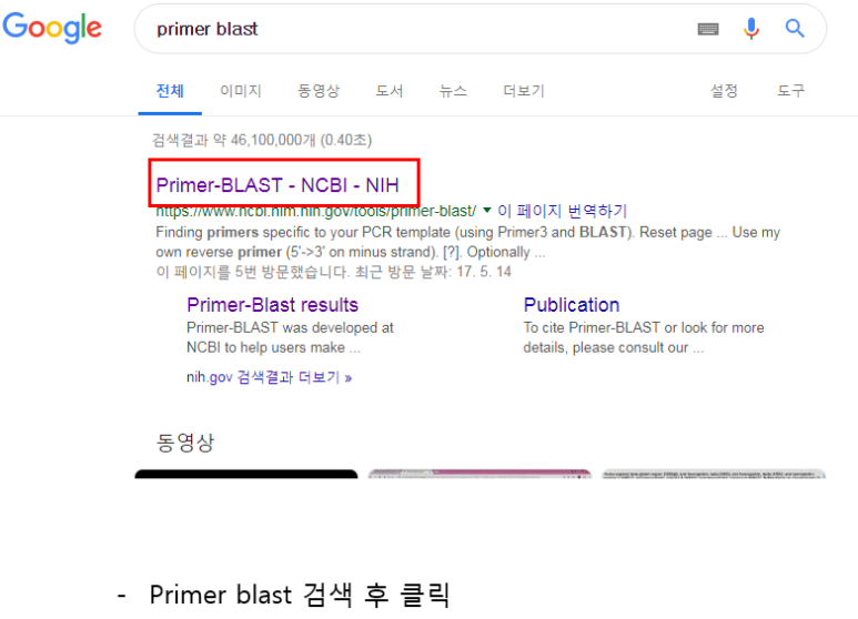 NCBI - Primer design 방법과 적합 기준 요소 설명 : 네이버 블로그
