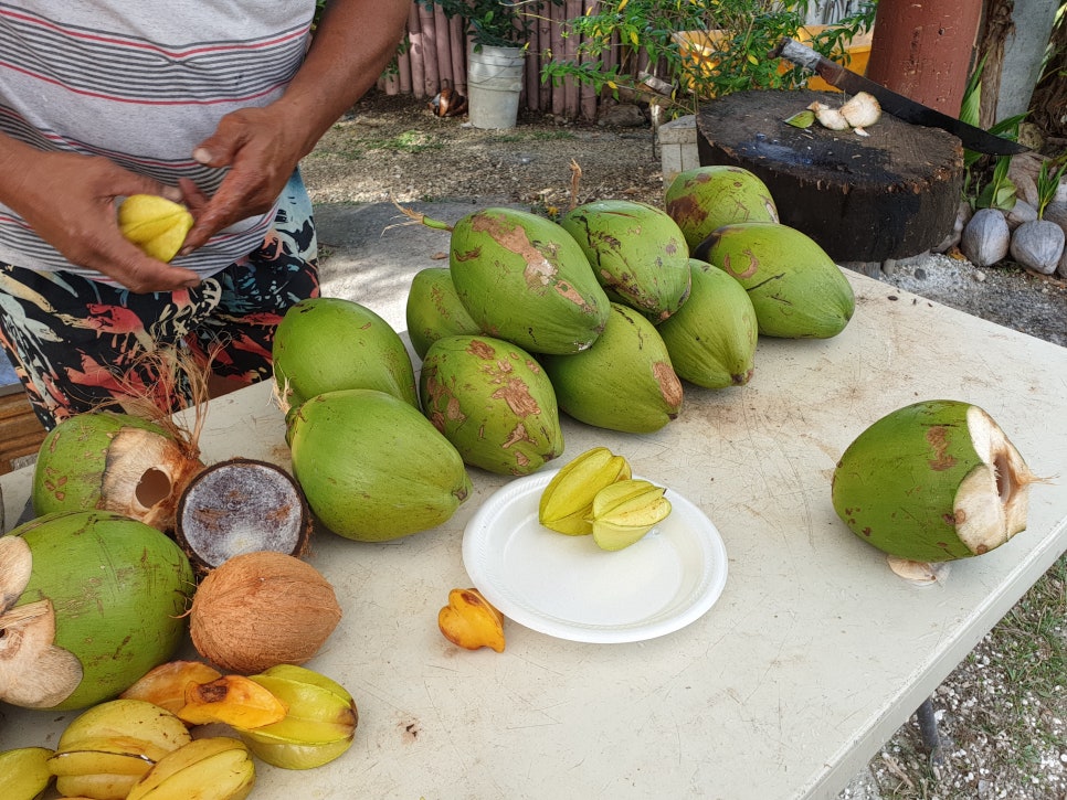 2019 GUAM :: 괌 남부투어하며 꿀맛같은 과일 먹을 수 있는 하파데이 과일가게 ( HAFA ADAI FRUIT STAND ...