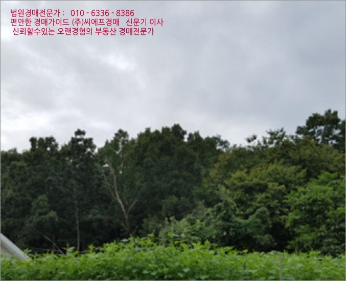♡홍성군 토지임야경매충남 홍성군경매충남 홍성군 장곡면 월계리 산29 1 경매 정보 2018타경5549 네이버 블로그
