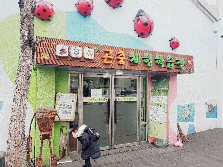 박물관영등포구곤충체험학습장 ㅡ 곤충표본만들기 꼬마사육사가되었던날🦎🦎 네이버 블로그