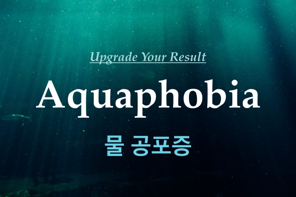 실즉영 실생활에 즉시 활용할 수 있는 영어 회화 표현 주제 고소공포증 무대공포증 대인기피증 폐쇄공포증 물공포증