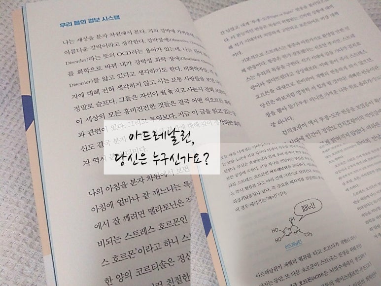과학개념정리 세상은 온통 화학이야 진짜 네이버 블로그