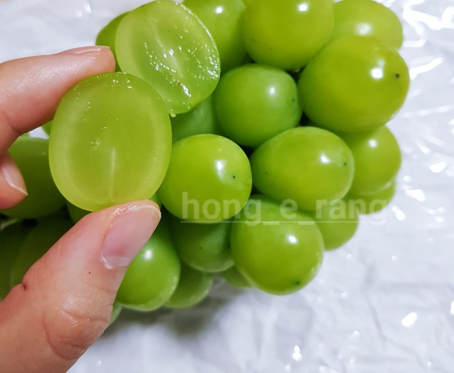 이마트 트레이더스 샤인머스켓 구매후기 과연 가격대비 맛은 더불어 알고 먹자 샤인머스켓 칼로리효능먹는법보관법