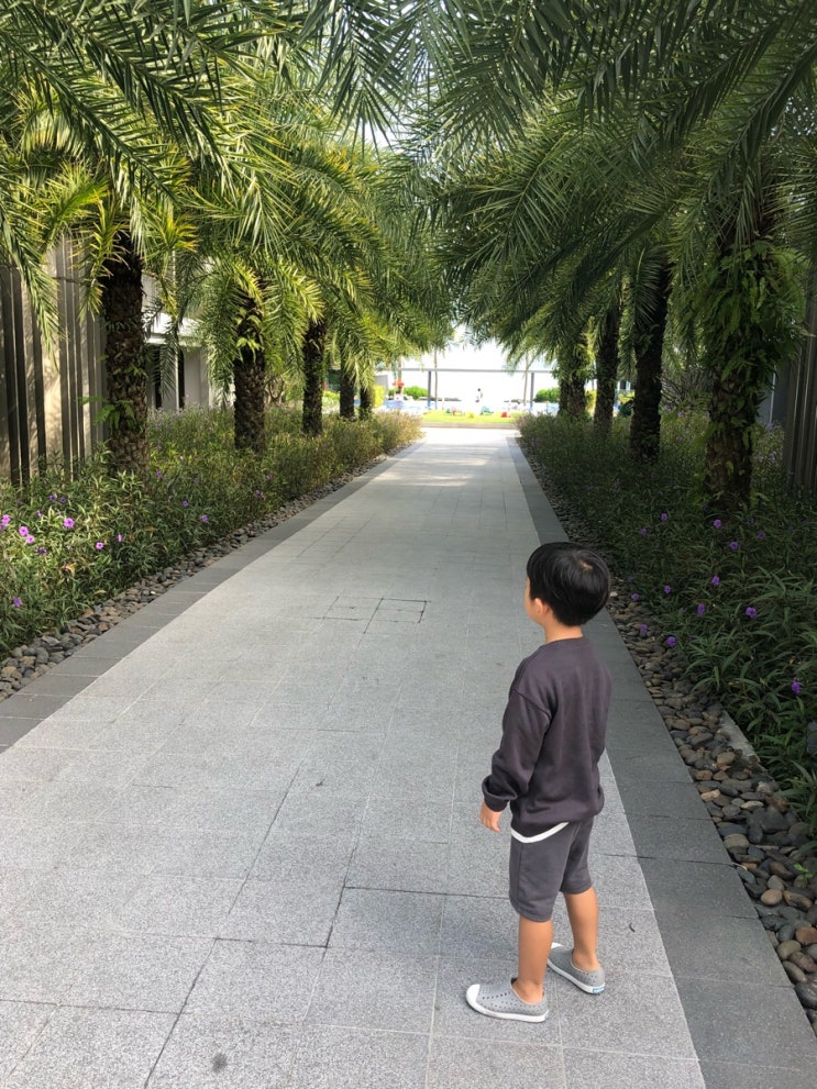 19 PHUKET-푸켓 메리어트 나이양비치 프라이빗해변 & 키즈클럽 : 네이버 블로그