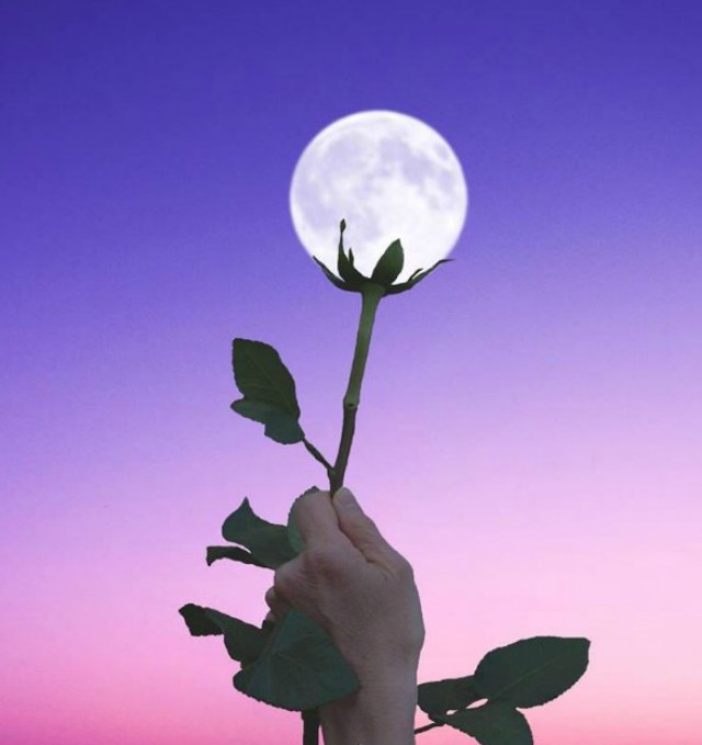 환상적인 달 Moon 달이미지 달그림 Moonlight 네이버 블로그