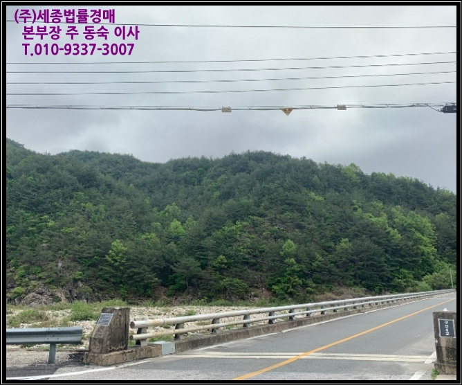 경북 울진군 근남면 토지임야경매 경상북도 울진군 근남면 구산리 산59 2019타경10437 네이버 블로그