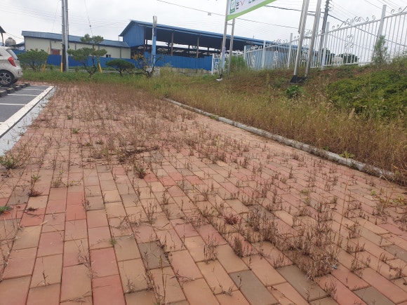 ☎♪ 보도블럭 제초 보도블럭 경계석 주변 잡초 풀 예초 작업 네이버 블로그