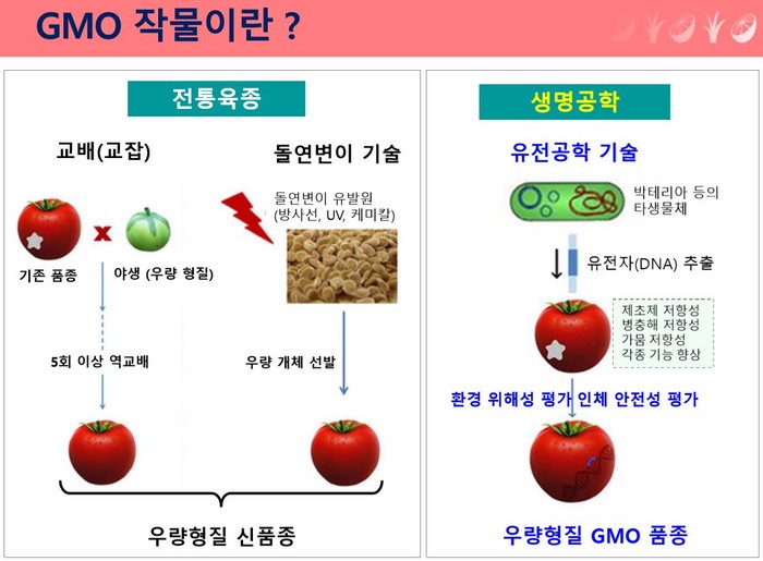 유전자 변형 생물(GMO) : 네이버 블로그