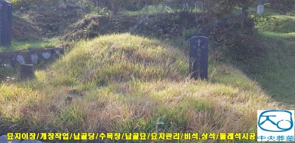 묘지이장 절차 및 산소 개장 용미리 시립묘지 산소이장 파묘작업 개장신고이장신고 대행 벽제화장장 화장예약 네이버 블로그