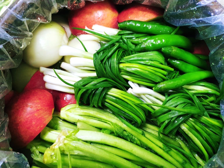 겨울동치미 만드는법 톡 쏘는 맛의 동치미 황금레시피로 담그는법 네이버 블로그