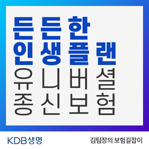 Kdb생명 든든한 인생 플랜 유니버셜 종신보험 네이버 블로그