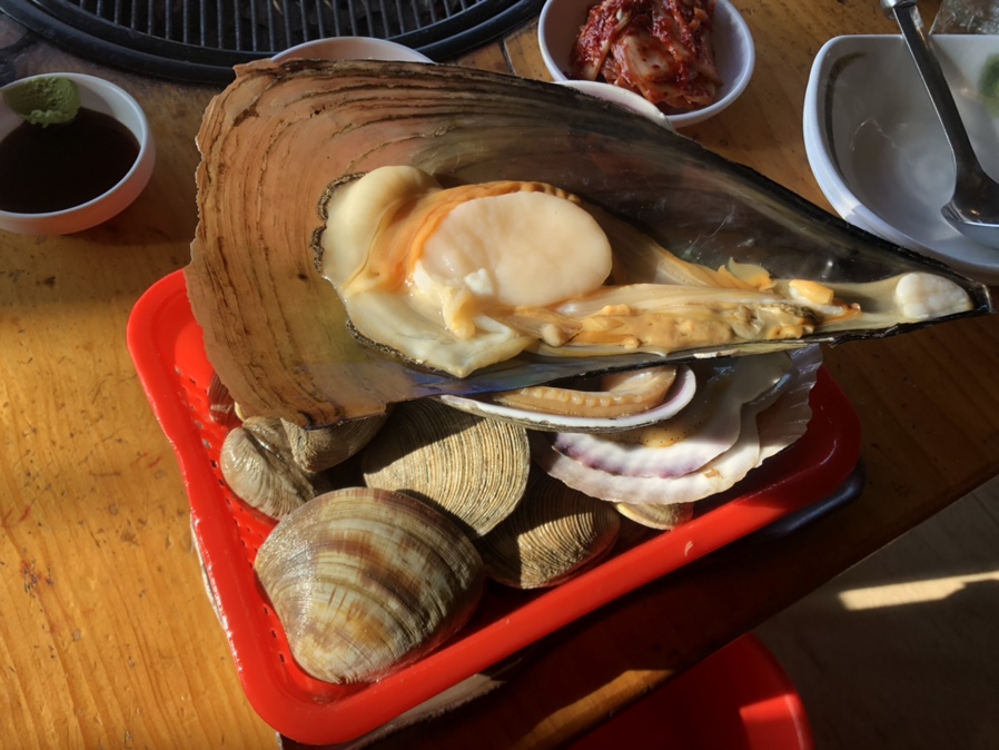 인천 을왕리 조개구이 맛집 추천 동해회조개구이 실제후기 네이버 블로그