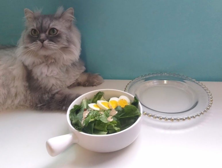 심플한그릇 BELLE 벨르그릇 추천 손잡이볼&유리구슬접시 : 네이버 블로그