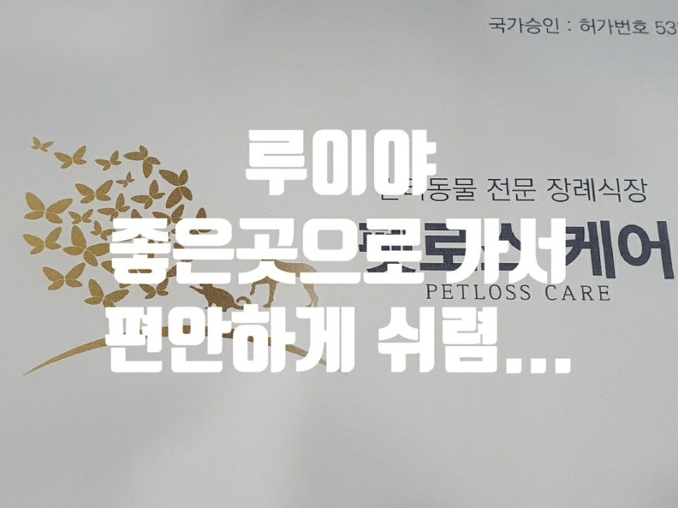 반려동물 전문 장례식장 김해[펫로스케어] : 네이버 블로그