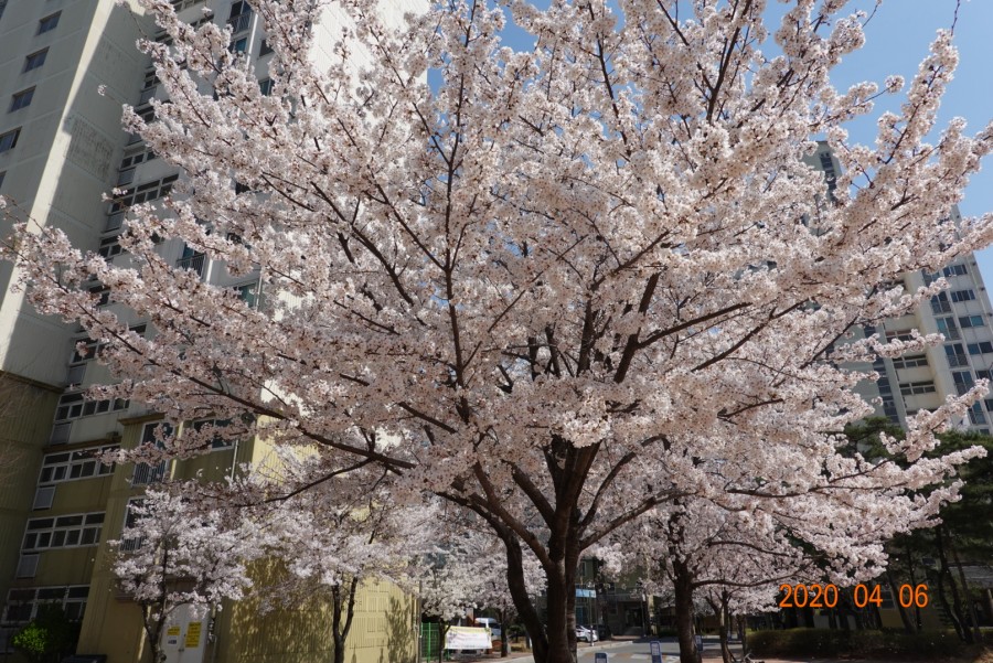 안성 참고운 어린이집 그랜드스타렉스 체인형자동문 장착 : 네이버 블로그