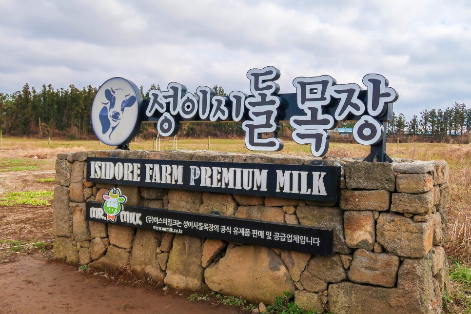 우유부단 아이스크림 먹고 성이시돌 목장 제주도 사진찍을 만한 곳 추천 네이버 블로그