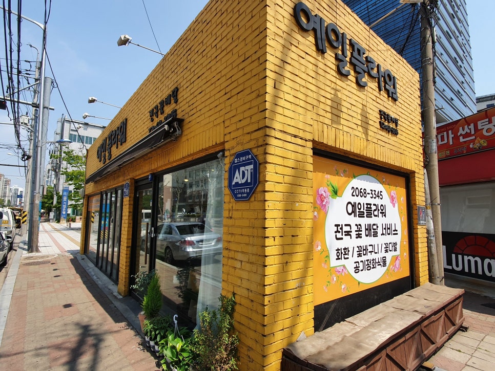 어버이날 가정의달 꽃화분 영등포꽃집 예일플라워 꽃화분 준비 네이버 블로그