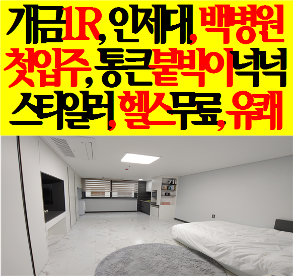 개금동 인제대학교 백병원 원룸♡2020 New 첫입주♡개금 인제빌리지 오피스텔♡헬스주차무료스타일러 옵션 차별화♡ 네이버 블로그