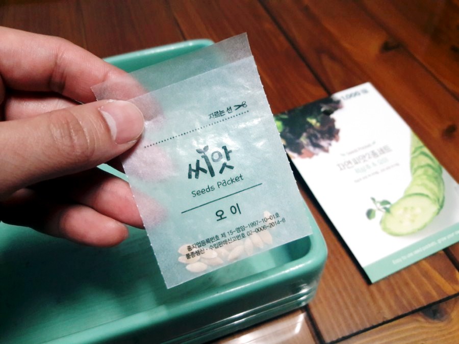 다이소 씨앗기르기 적상추and오이 2주간 관찰일기 1탄 싱글족 식물기르기 네이버 블로그