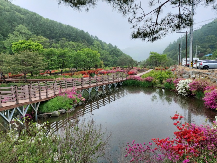 진천 만뢰산 자연생태 공원 엄마와 함께 가볼만한곳 네이버 블로그