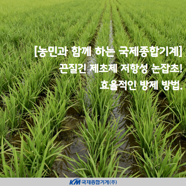 농민과 함께 하는 국제종합기계 제초제 저항성 논 잡초 효율적 방제 방법 네이버 블로그