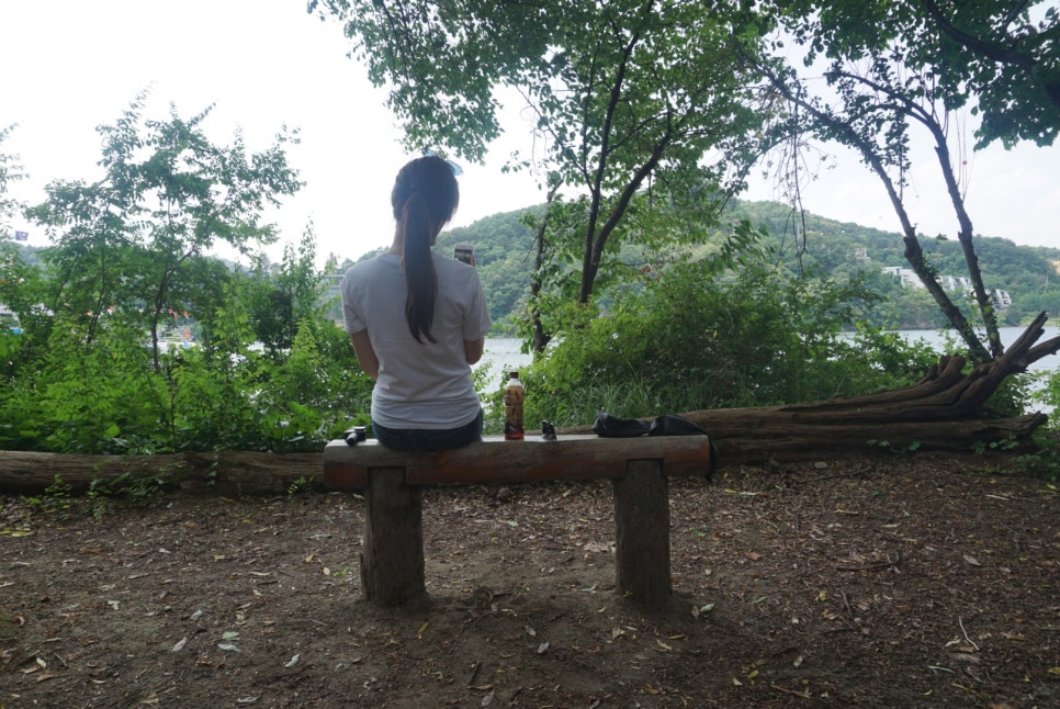 남이섬 스카이라인 짚와이어 어드벤처코스 슝~ 남이섬 자전거 데이트 즐기기 네이버 블로그