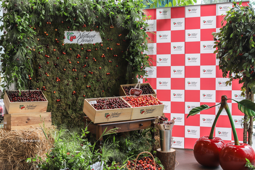 미국북서부체리 쿠킹클래스 여름과일 더 맛있게 즐기자 : 네이버 블로그
