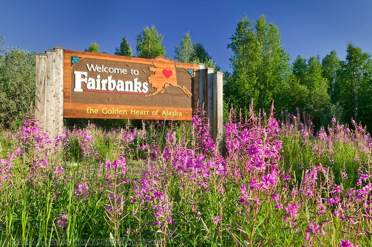 알래스카 여름 여행 페어뱅크스에서 출발하는 기차 여행 Alaska Railroad Tour From Fairbanks