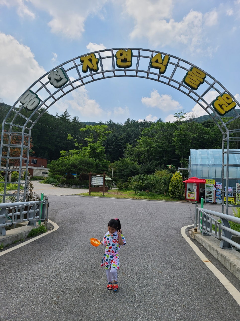 용인 동천 자연식물원 아이와 놀러 갈만한 곳 네이버 블로그
