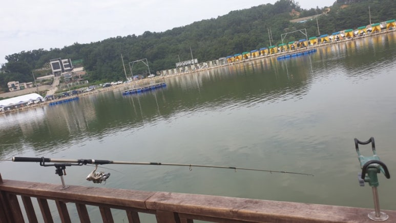 인천 강화도 방갈로가 있는 동검레저바다낚시터 가두리낚시는 어려워 네이버 블로그