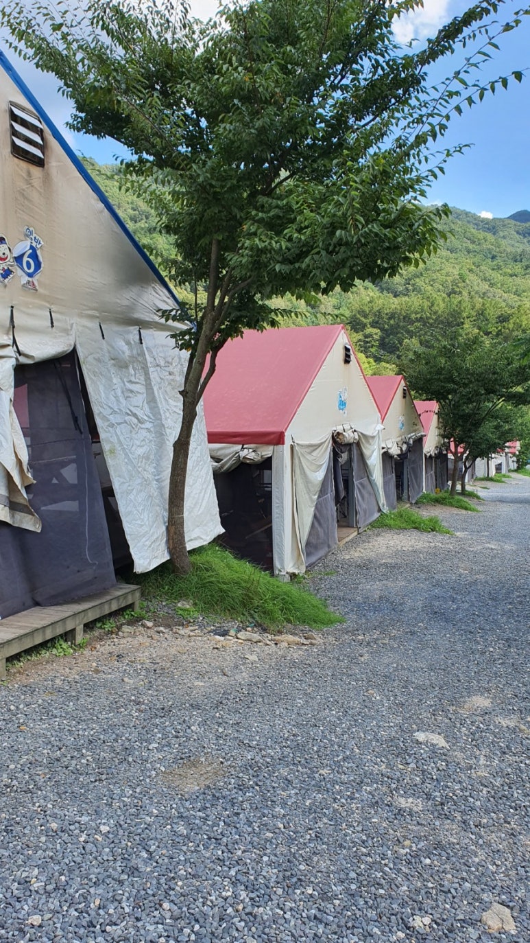 포천 이동갈비직판장 And 포천 Geo키즈 글램핑 네이버 블로그