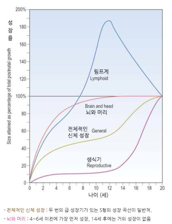 영유아와 초등시기에 해주어야 할 것들 : 두뇌 성장 6세 때 90%, 12세에 멈춰 : 네이버 블로그