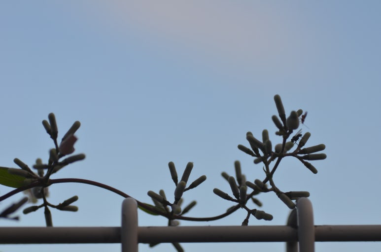 여호수아. 새 시대의 지도자 : 네이버 블로그